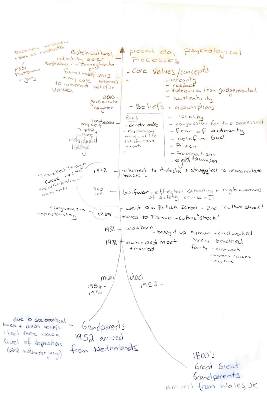 The Sociology of Culture and the Paradoxical Nature of Diversity. Culturally-Infused Practice in ...