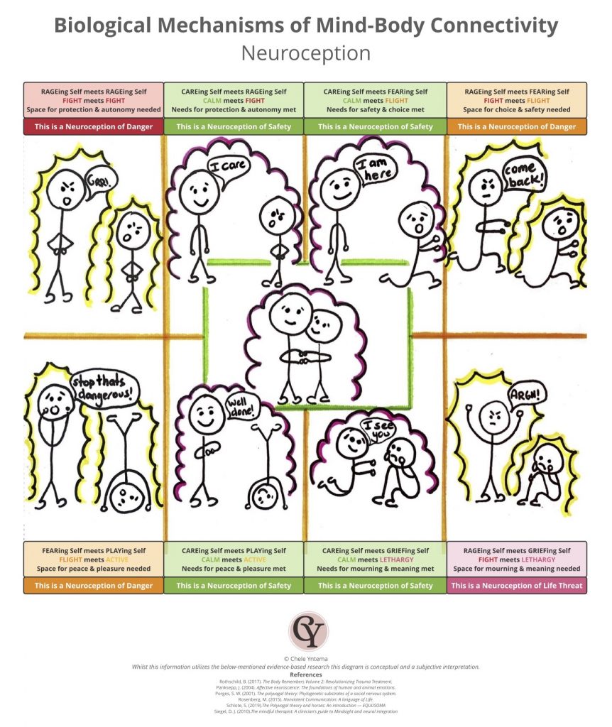 Neuroception | Chele Yntema