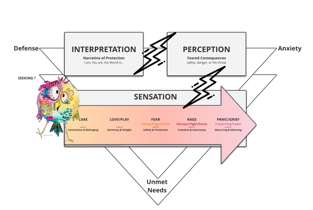 Functional Fundamentals - Defining Wellbeing & Suffering - Chele Yntema